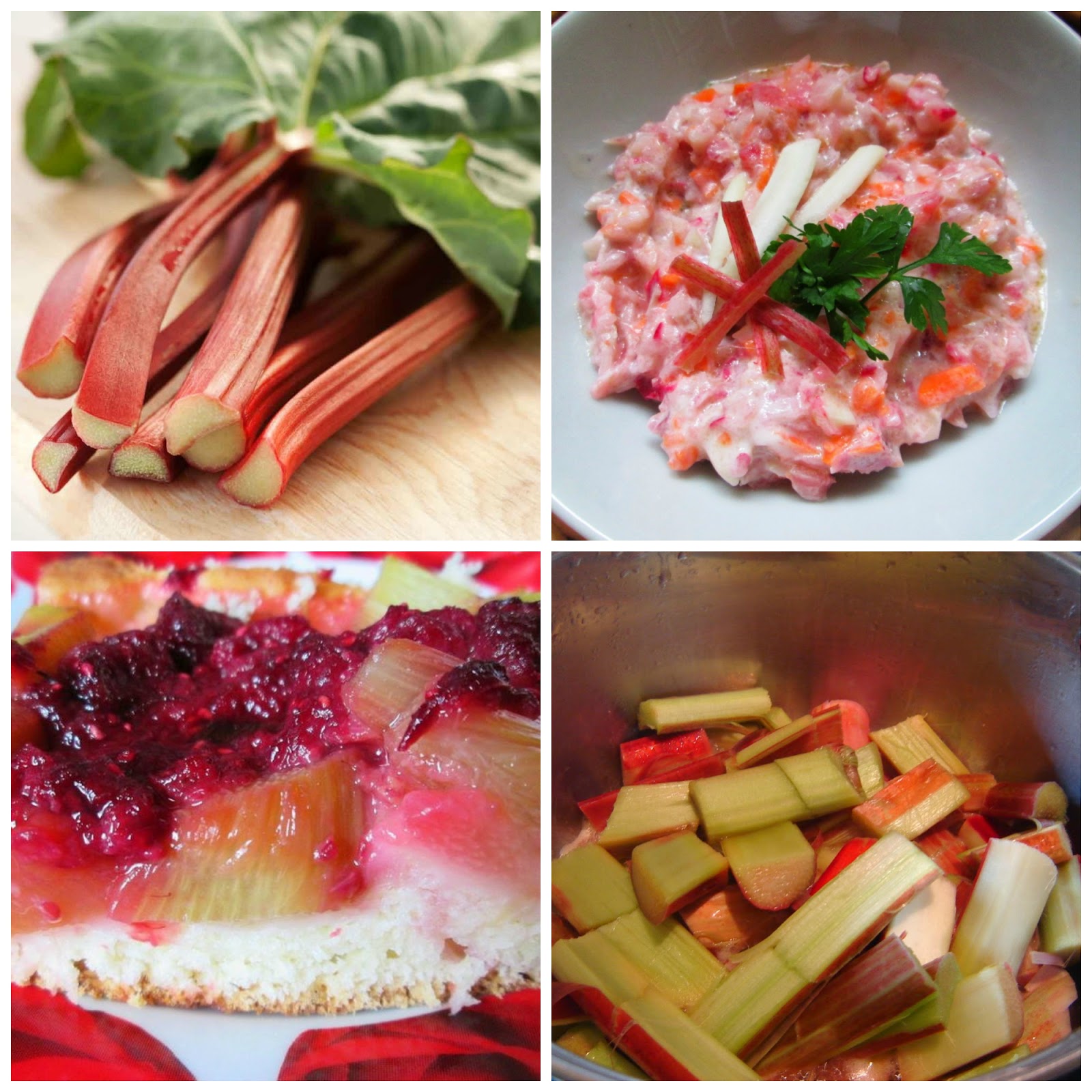 Rabarbar - sprawdzone przepisy na dania i kilka ciekawostek ...