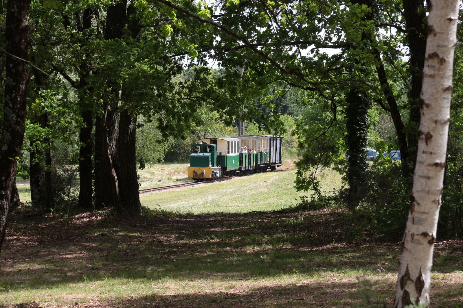 Chemin de Fer de Rillé - The Rillé Steam Railway: mai 2016