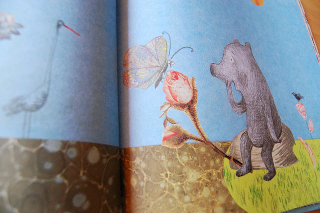 Gruppo di lettura C'era due volte un libro: 2013