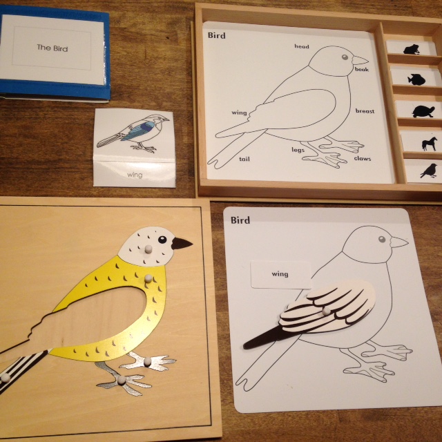 Bird Sanctuary With Kids, Montessori Zoology At Home - "Making ...