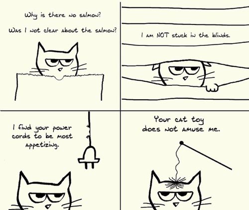 Catsparella: Funky Chic Designs Angry Cat Note Card Set Giveaway!