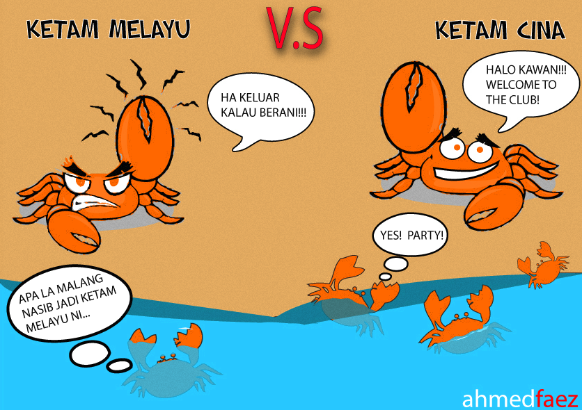 Ketam Melayu . Ketam Cina . - PUTERA AMIROOL FAEZ