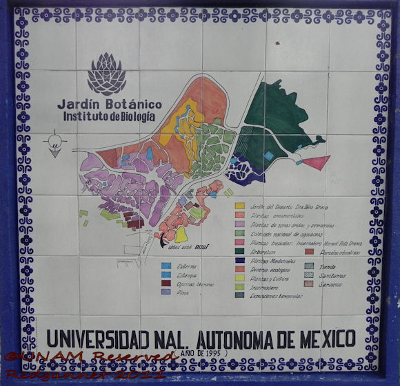 Redgannet: UNAM Botanical Gardens, Mexico City, Aug 2011