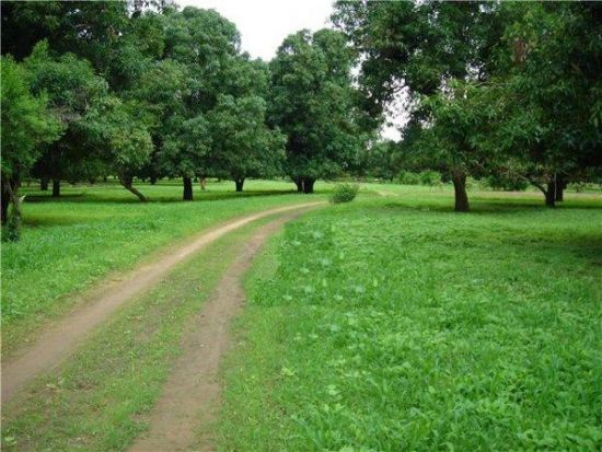 Blue Nile Province: Sultanate of FUNJ .......300 YEARS GOVEREND SUDAN