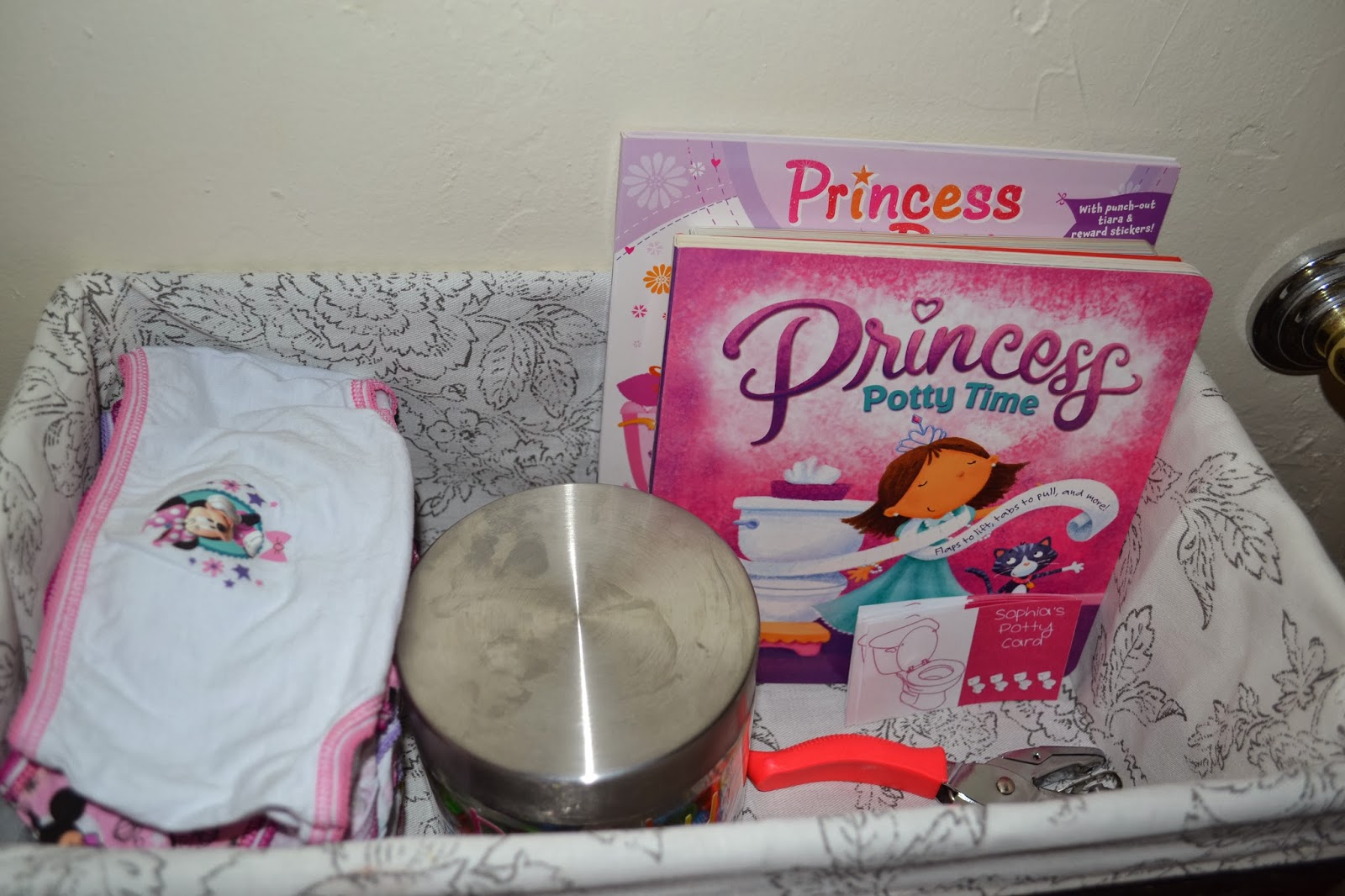 Sophia Grace & Co.: Project: Potty Train in Three Days