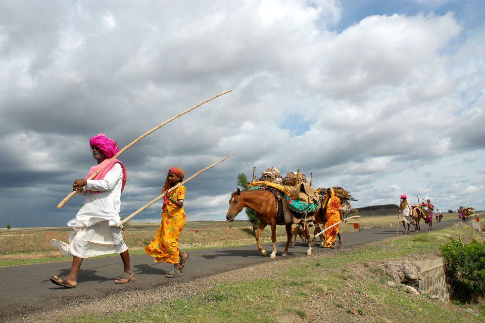 Mandeshi Mendhpal (माणदेशी मेंढपाळ): माणदेशी मेंढपाळांच्या नशिबी ...