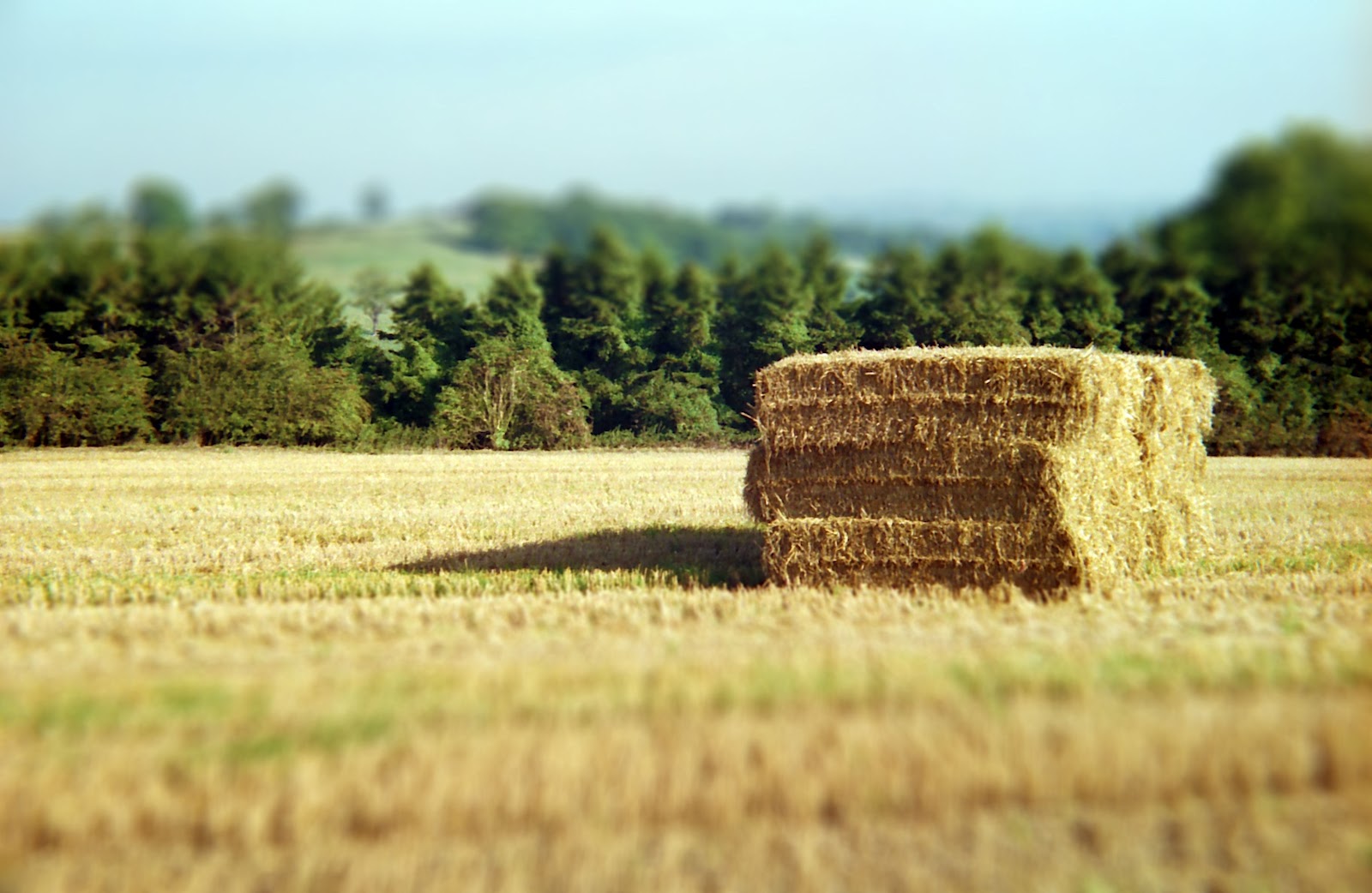 COTSWOLDS CASCADE: THE SMALL GIANT HAYSTACK