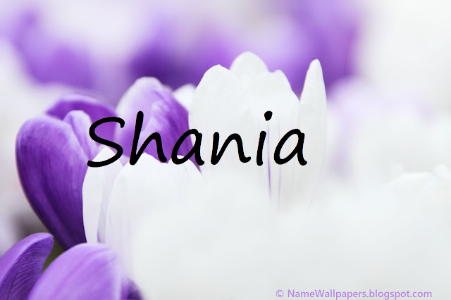 Shania Name Wallpapers Shania ~ Name Wallpaper Urdu Name Meaning Name ...