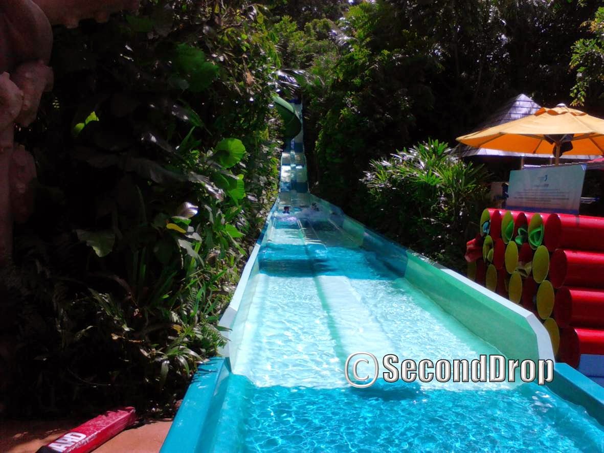 Second Drop Attractions: Adventure Cove Waterpark Trip Report