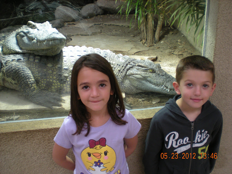 Jim & Paula - Switzerland: Dewar Family Visit