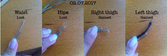 Neophyte journal: Fitness. Twine measurements. 2.