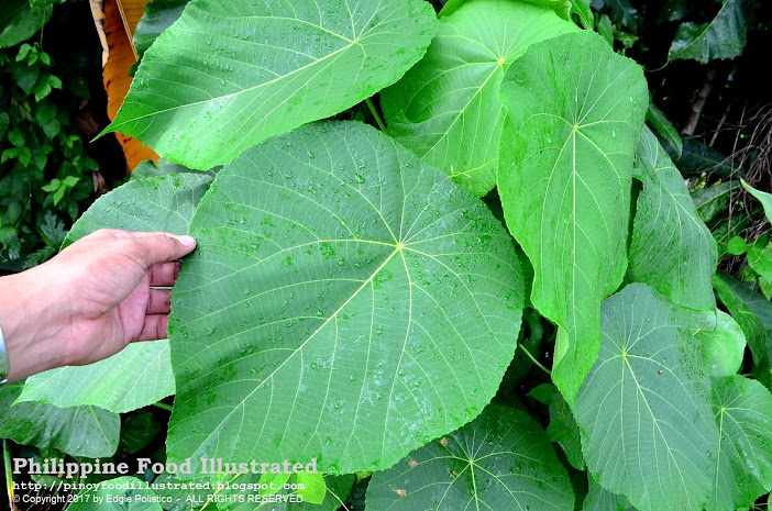 Philippine Food Illustrated: samak