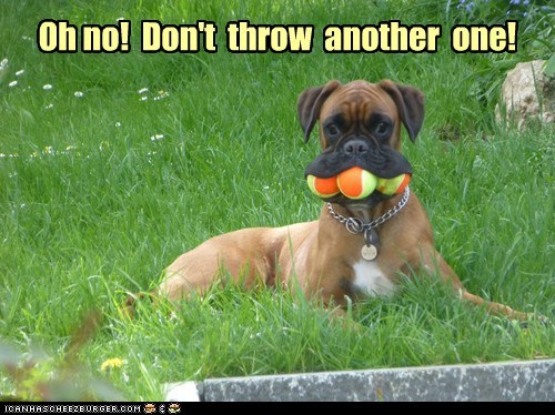 Nick's Bytes: Too Bad It's Monday: Jokes, Humor, and KATZ