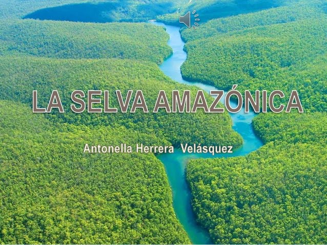 biologia al cubo: 125.- Los paisajes mas bonitos del mundo-11 LA SELVA ...