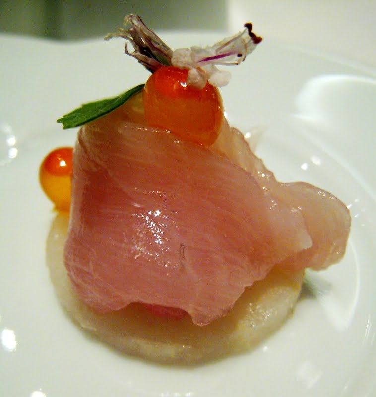 Plants are the Strangest People: Berry-Go-Round #41