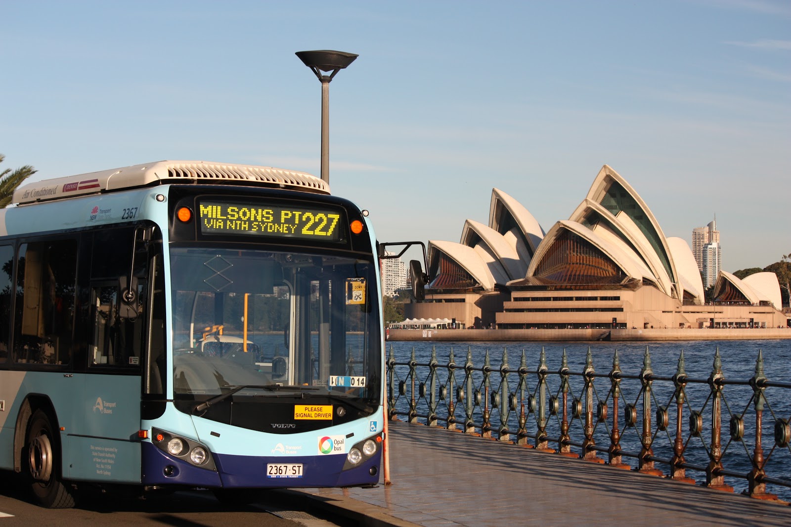 Sydney - City and Suburbs: Milsons Point, bus stop