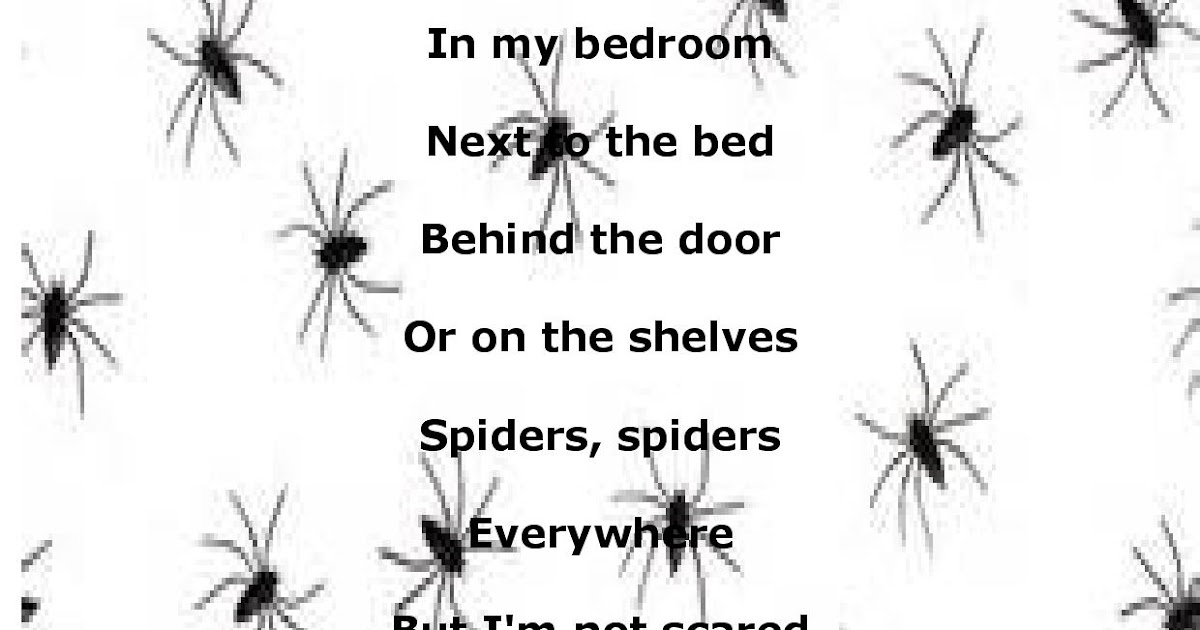 Ulis du collège Anatole France: Spiders everywhere