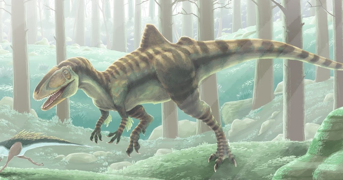 Morgan's Art: Concavenator Corcovatus