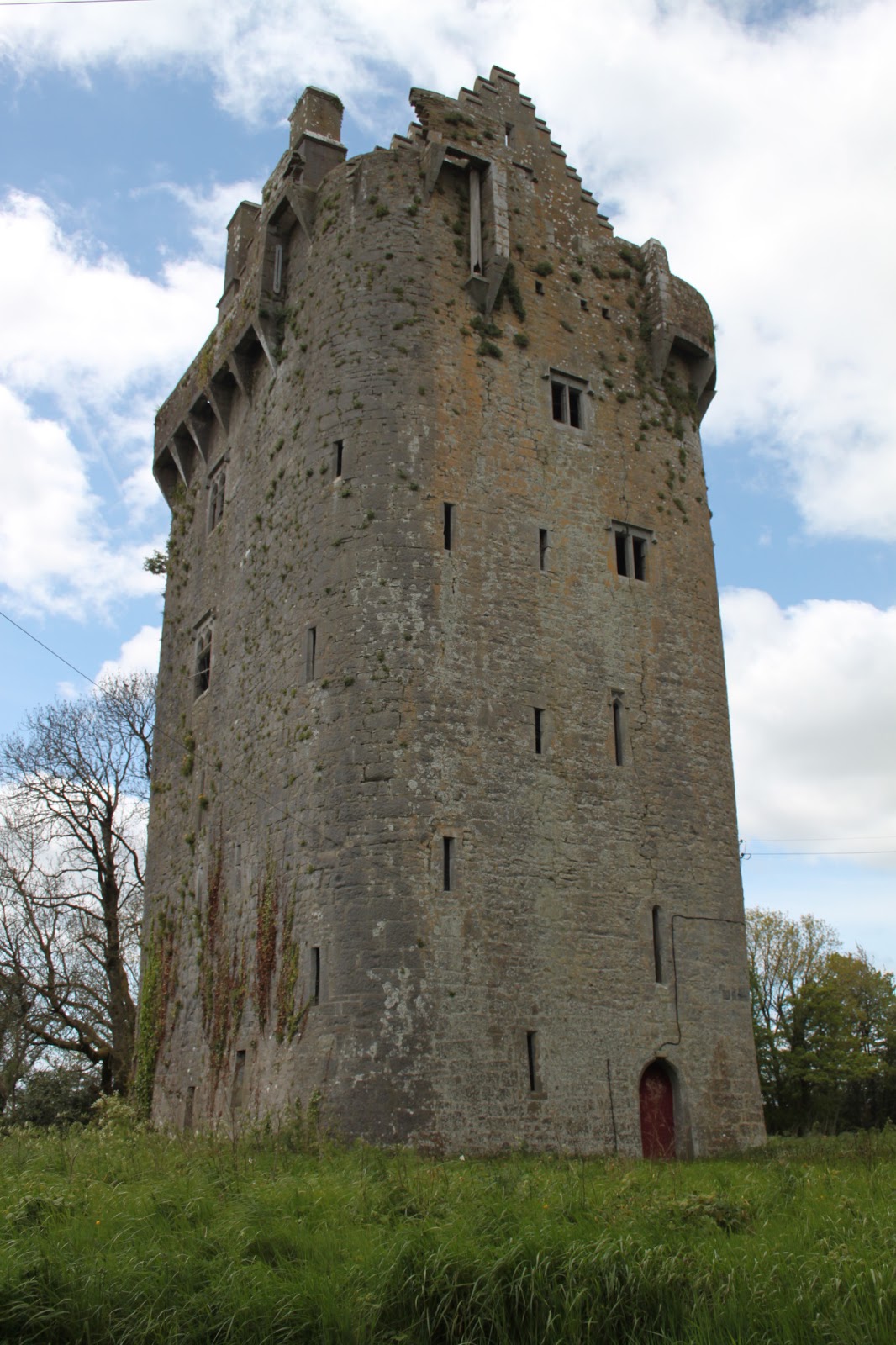Historic Sites of Ireland: Lohort Castle