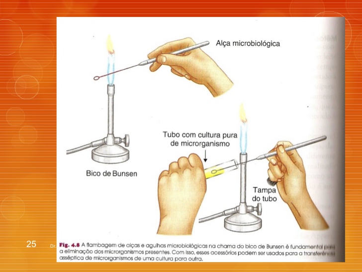 Microbiologia IFRJ - Campus Rio de Janeiro: Relato das aulas práticas ...