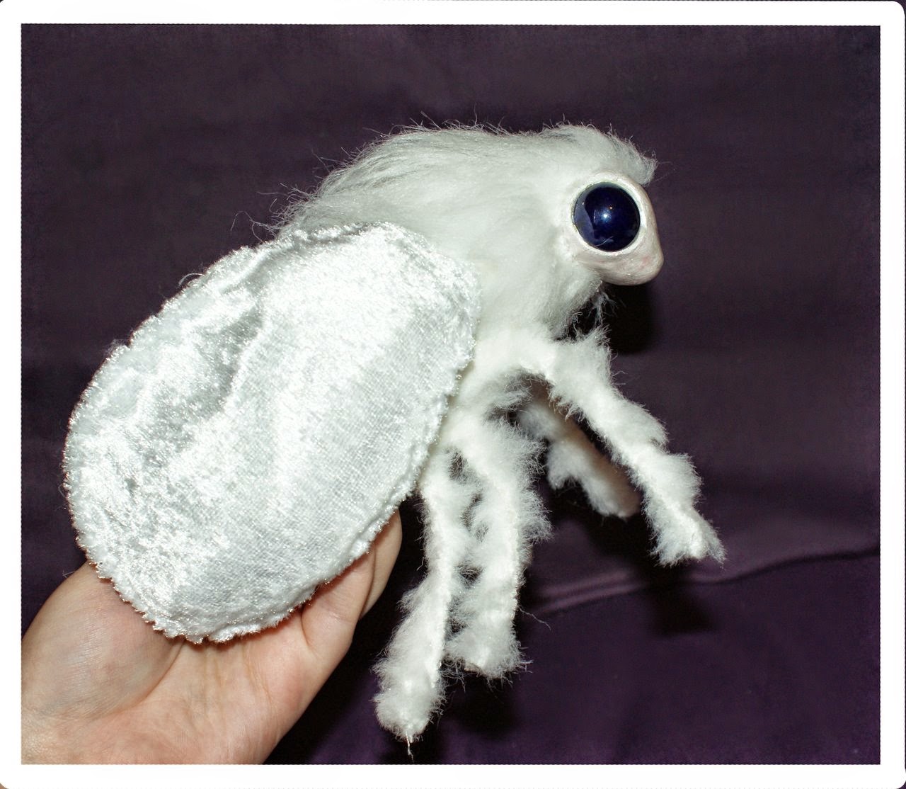 VENEZUELAN POODLE MOTH photos - wallpapers (ανανεωμένο) | the fun bank