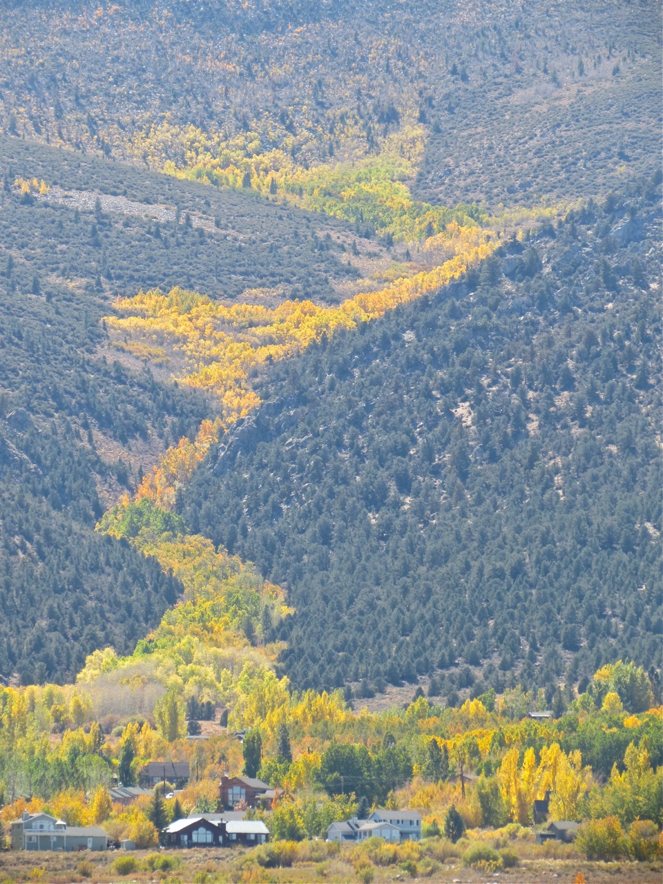 Ryan's Adventures: Eastern Sierra - 395 - October Fall Trip to Crowley Lake