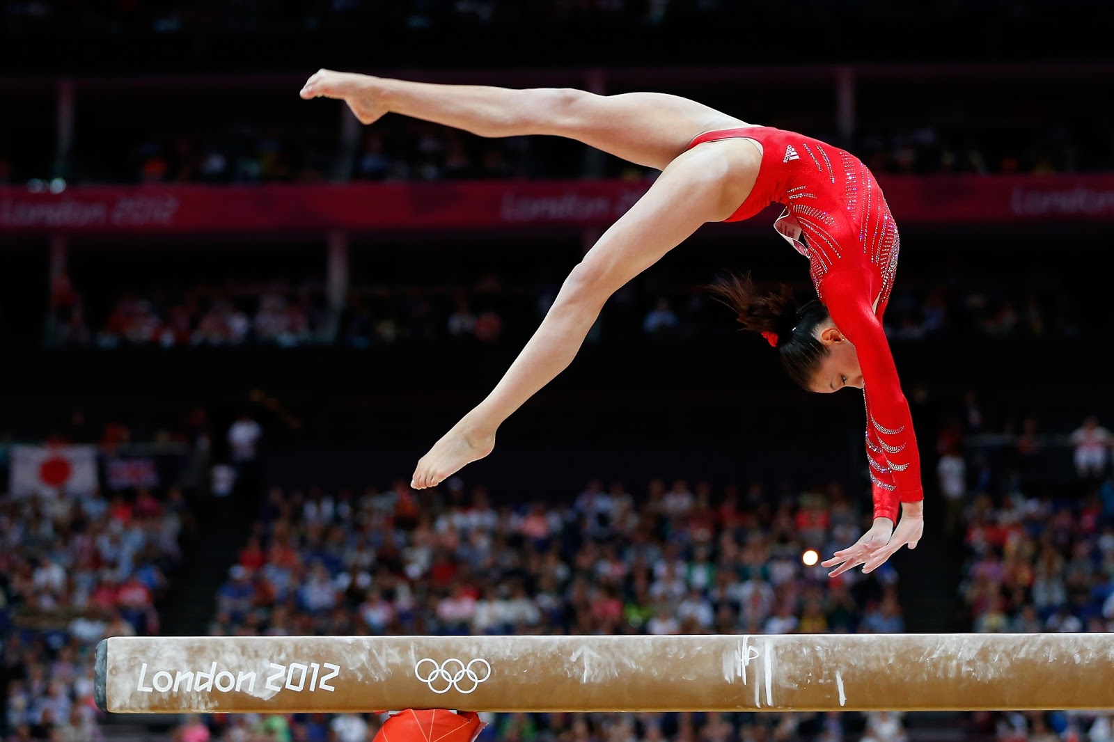 Gymnastic History: Gymnastic History