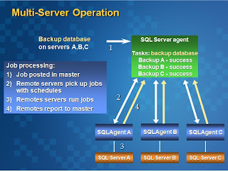 sharing: SQL Server - Multi Server Operation