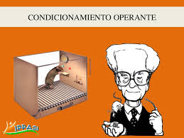 Condicionamiento Operante y la Modificacion de Conducta: Skinner