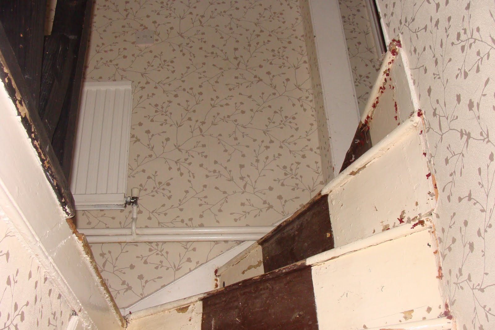 CHRIS HALTON VISITS `THE CAGE - WITCHES PRISON` WITH SOME REMARKABLE ...