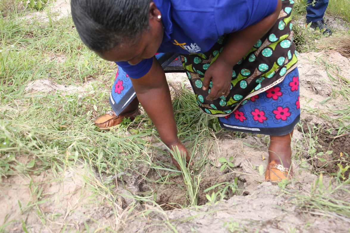 OFISI NZIMA YA MKIKITA WAHAMIA SHAMBANI VIKINDU KUPANDA MCHAICHAI