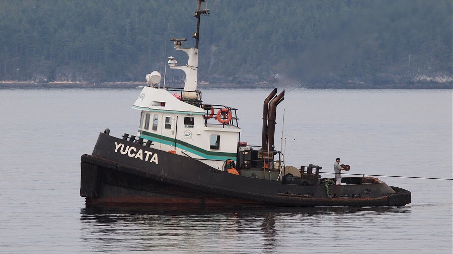 Tugboats, Tugboats, Tugboats: Yucata