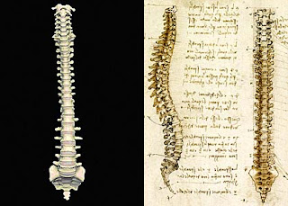 Art/Yoga Fusion: Merudanda Mudra