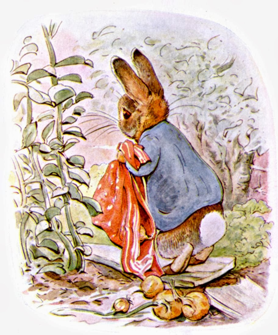 Summer of Illustration : Beatrix Potter, English author, Illustrator ...
