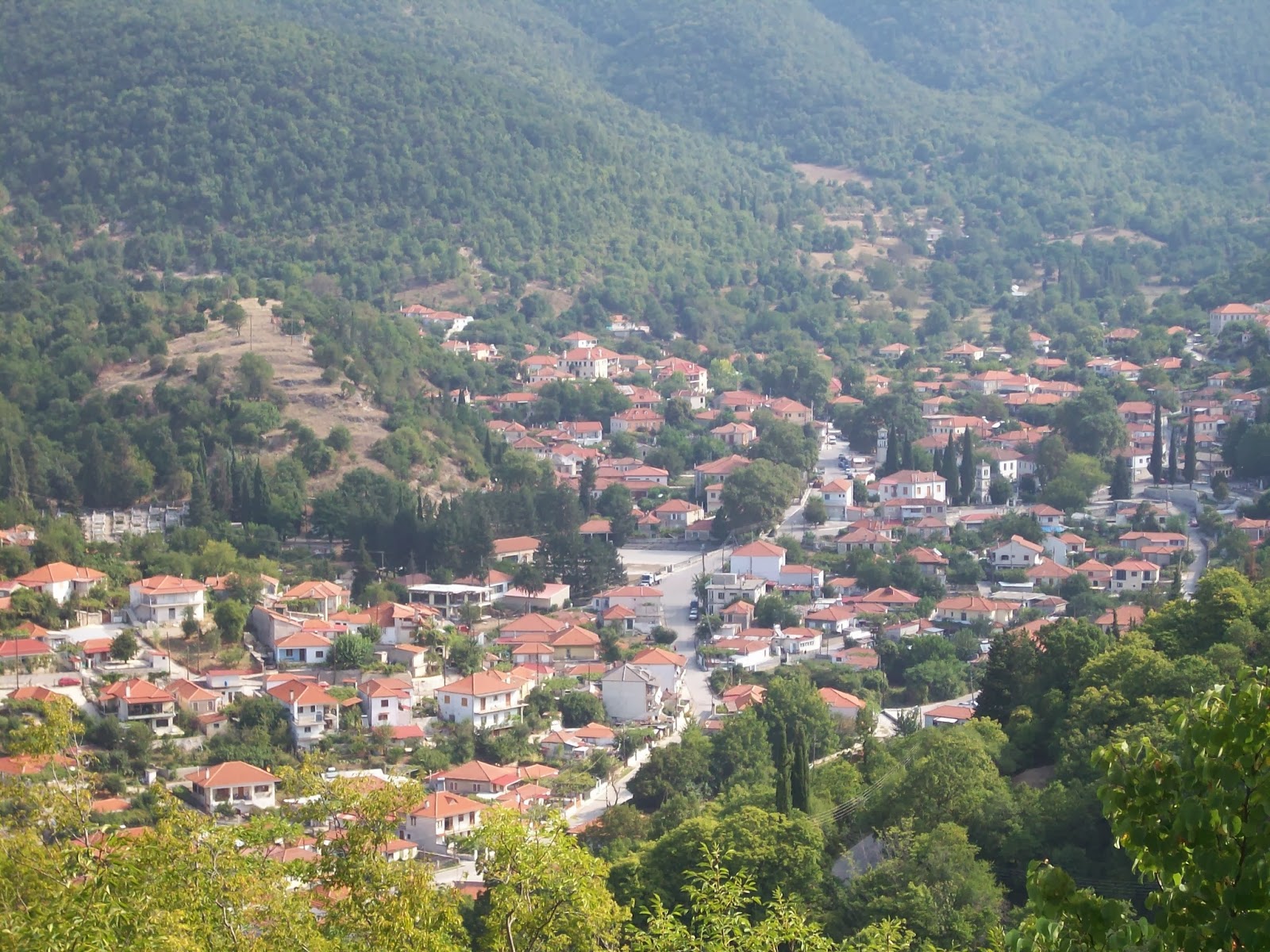 Μένουμε ... Δελβινάκι : Σήμερα έχουμε...γενέθλια