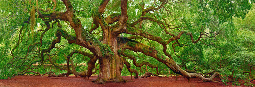 Lee Folkard Photography: Photographer: Peter Lik