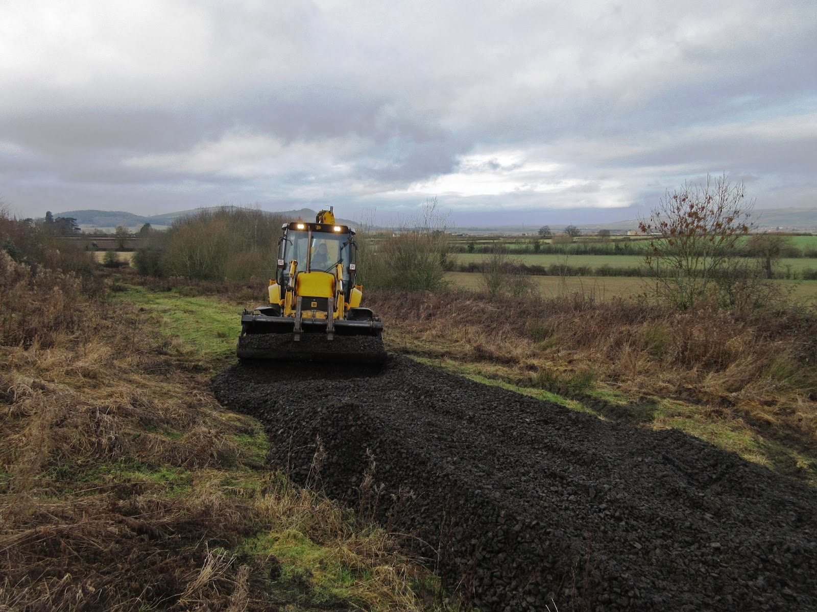 Extension Blog: Scraping a living