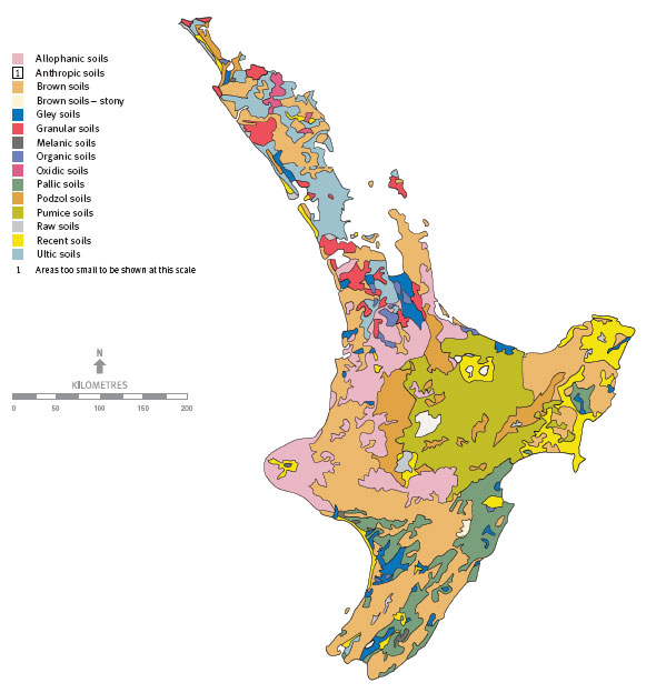 New Zealand - A Geographic Perspective: Erosion, Hydrology and Soil in ...