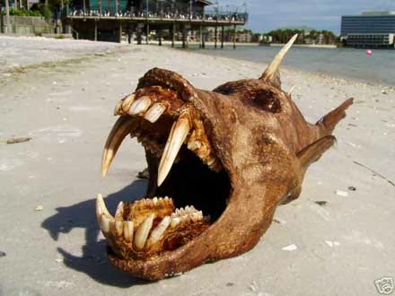 Million Posts: Tampa Bay Beach Sea Monster
