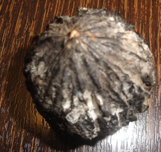 PROYECTO CHAKANA ECUADOR . chakana project . Equateur Chakana projet ...