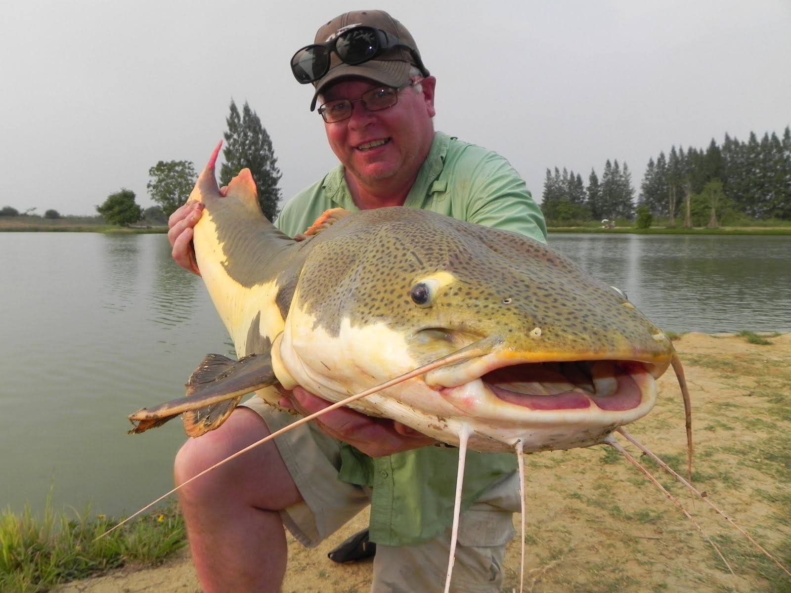 THE FISHING NEWS: PIRARARA
