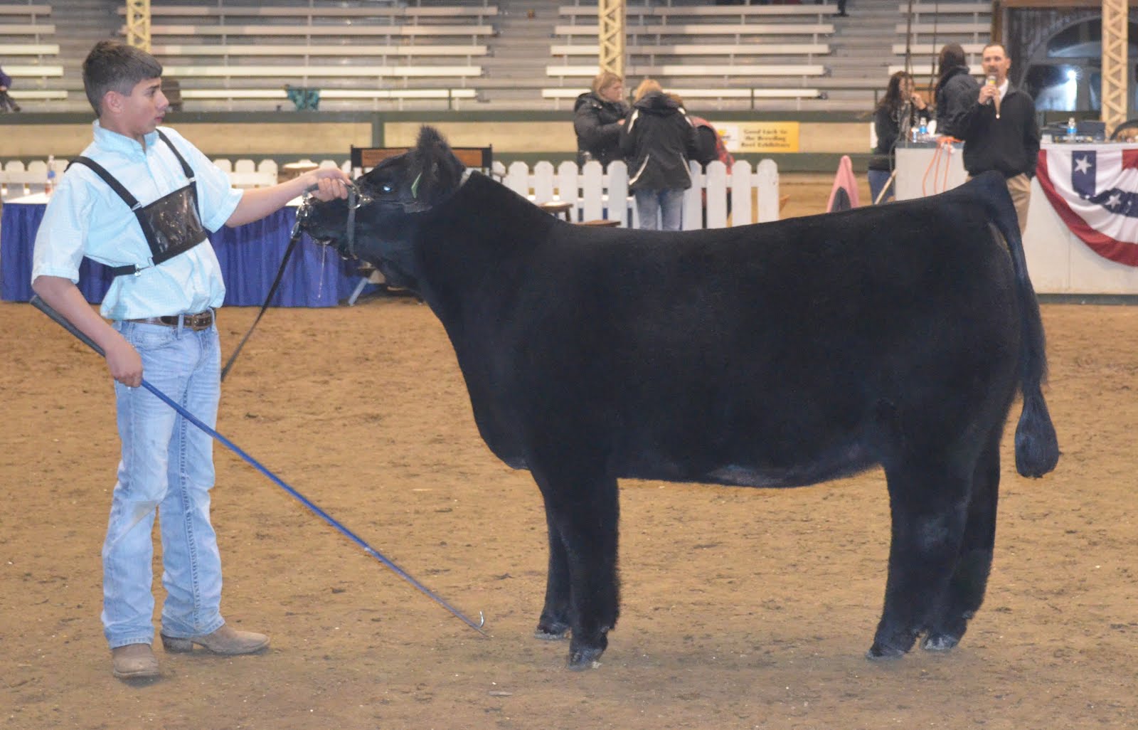 MITTAG Blog: Iowa Beef Expo MARKET HEIFERS