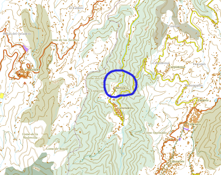 Mi Gran Canaria: BARRANCO, EL (VALLESECO)