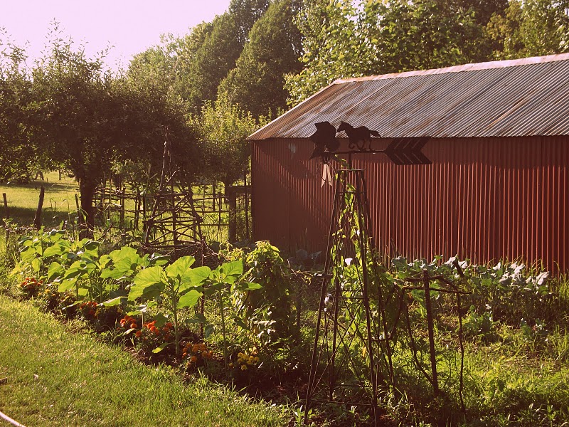 Backyard Farming: Your Backyard Farm