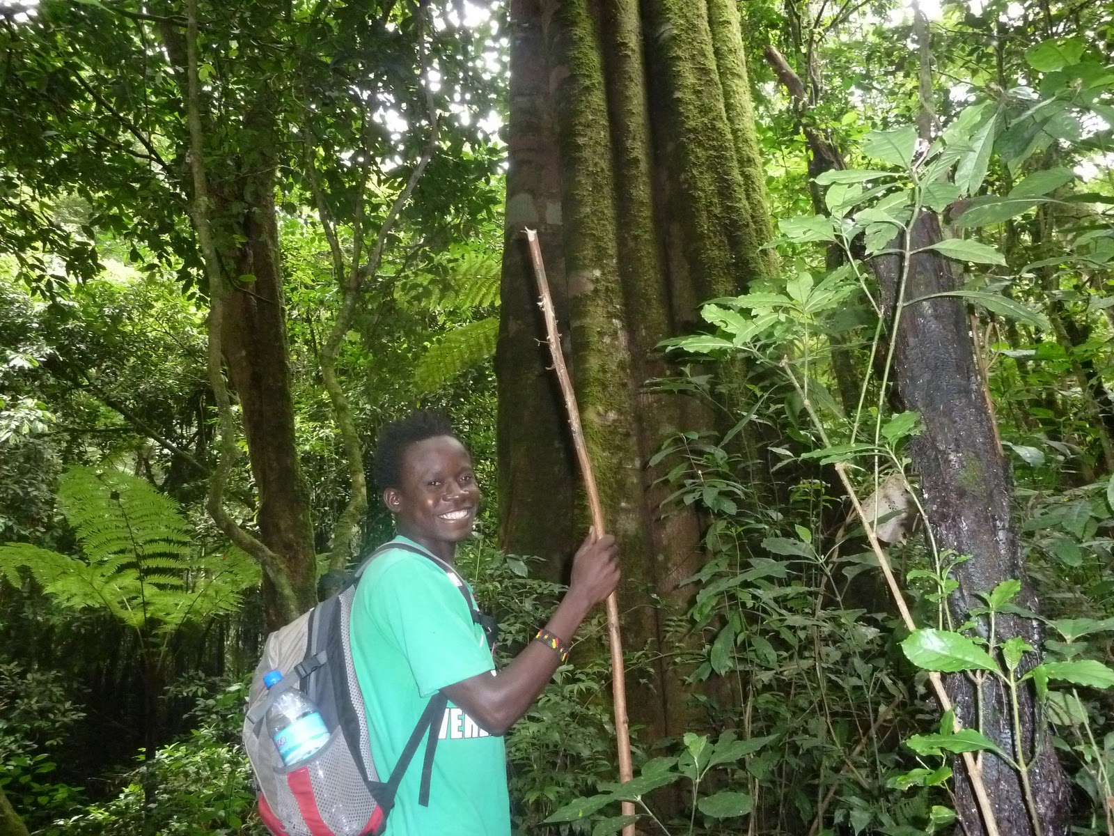 africa4you all tanzania