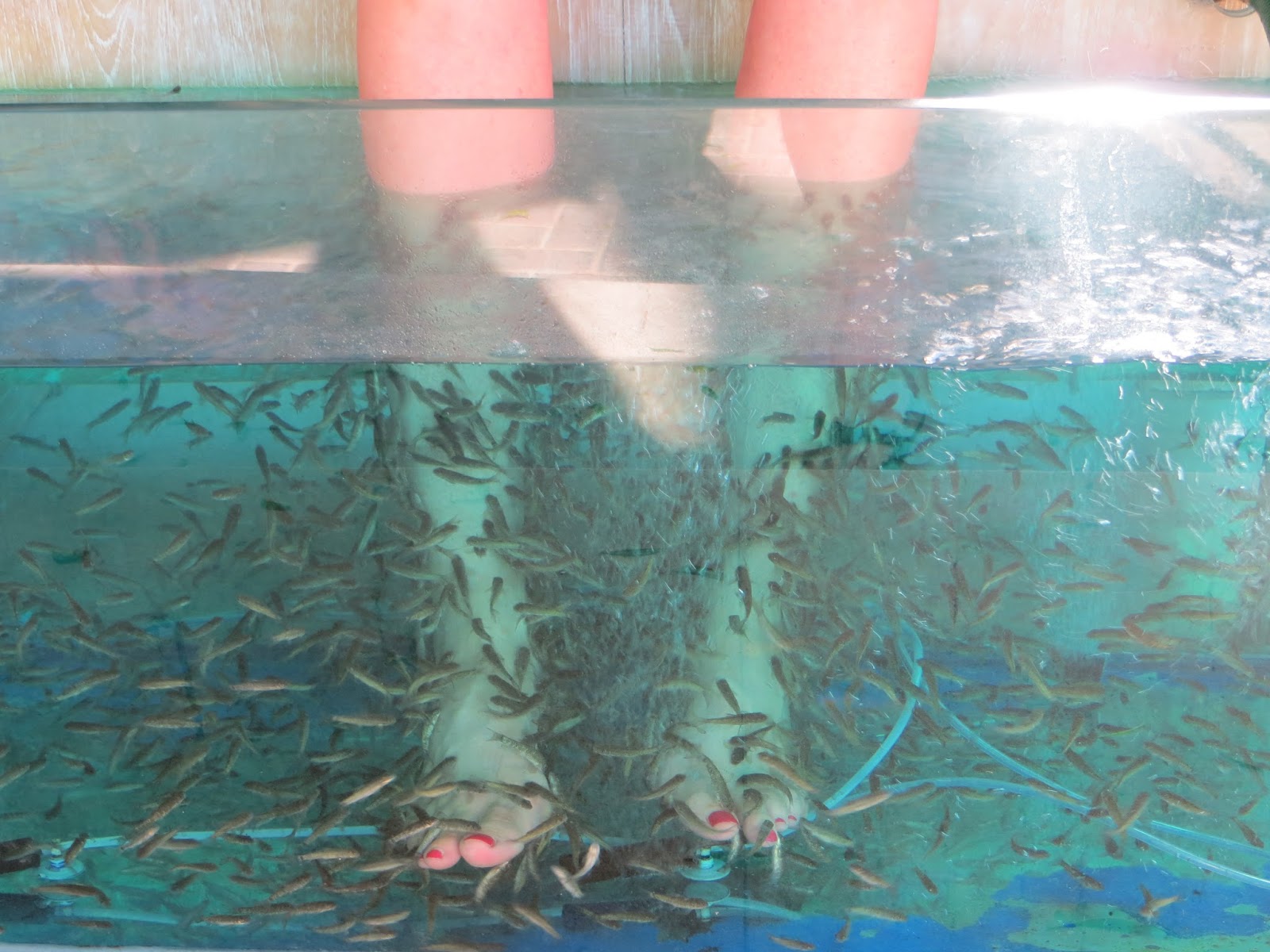 tuscanroad: Balinese Fish Foot Massage