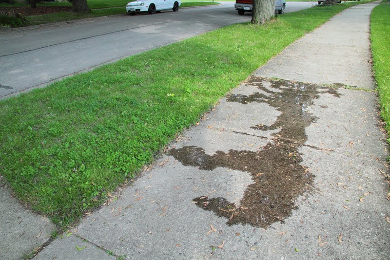 Rain Gardens in Dane County: How to build a large rain garden on your ...