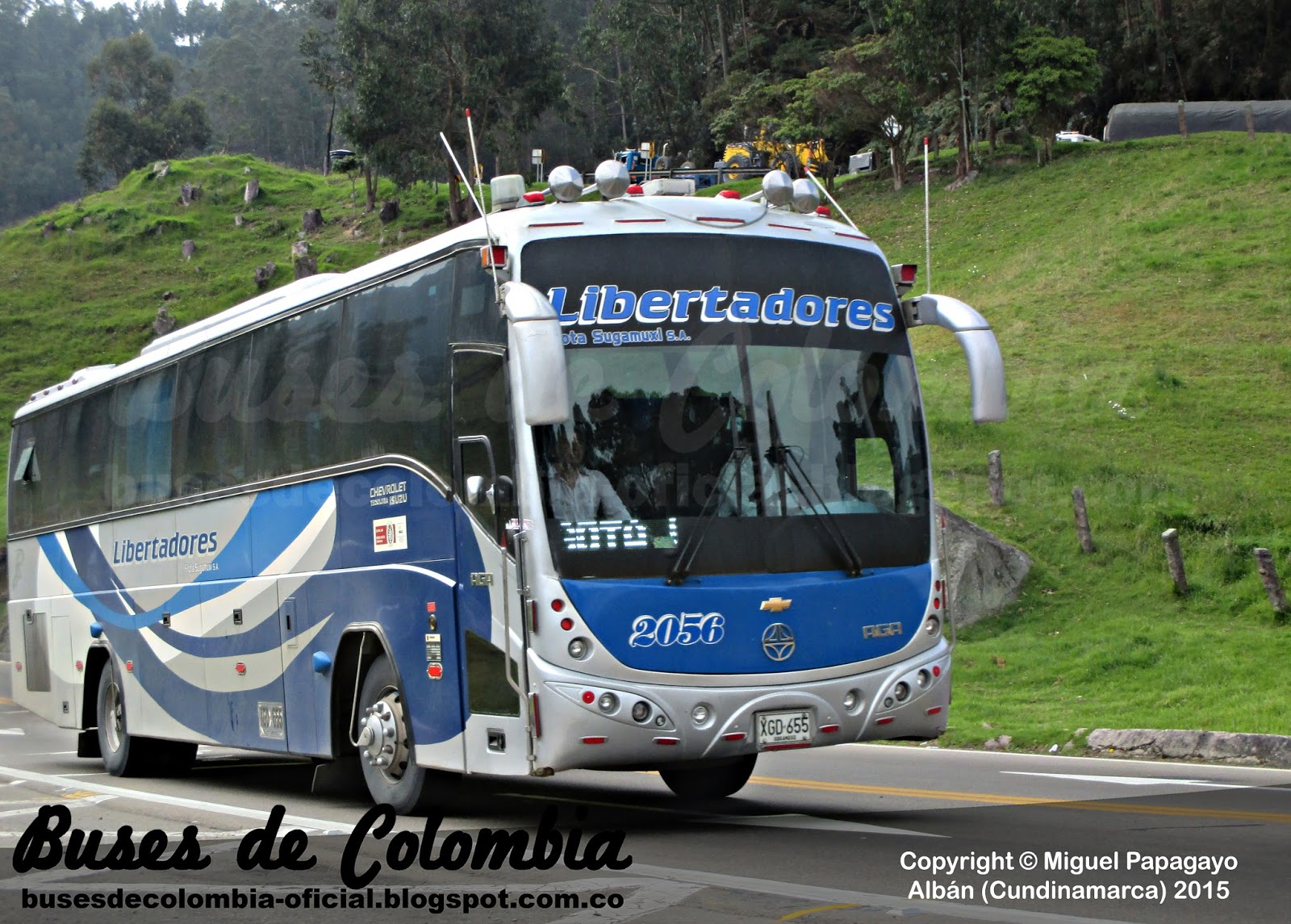 Libertadores (Flota Sugamuxi) 2056