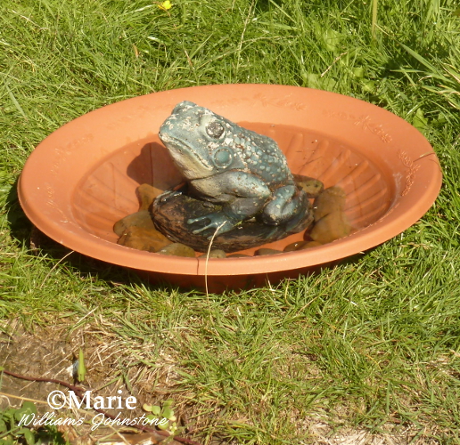 How to Make a Simple Bird Bath with Found Items