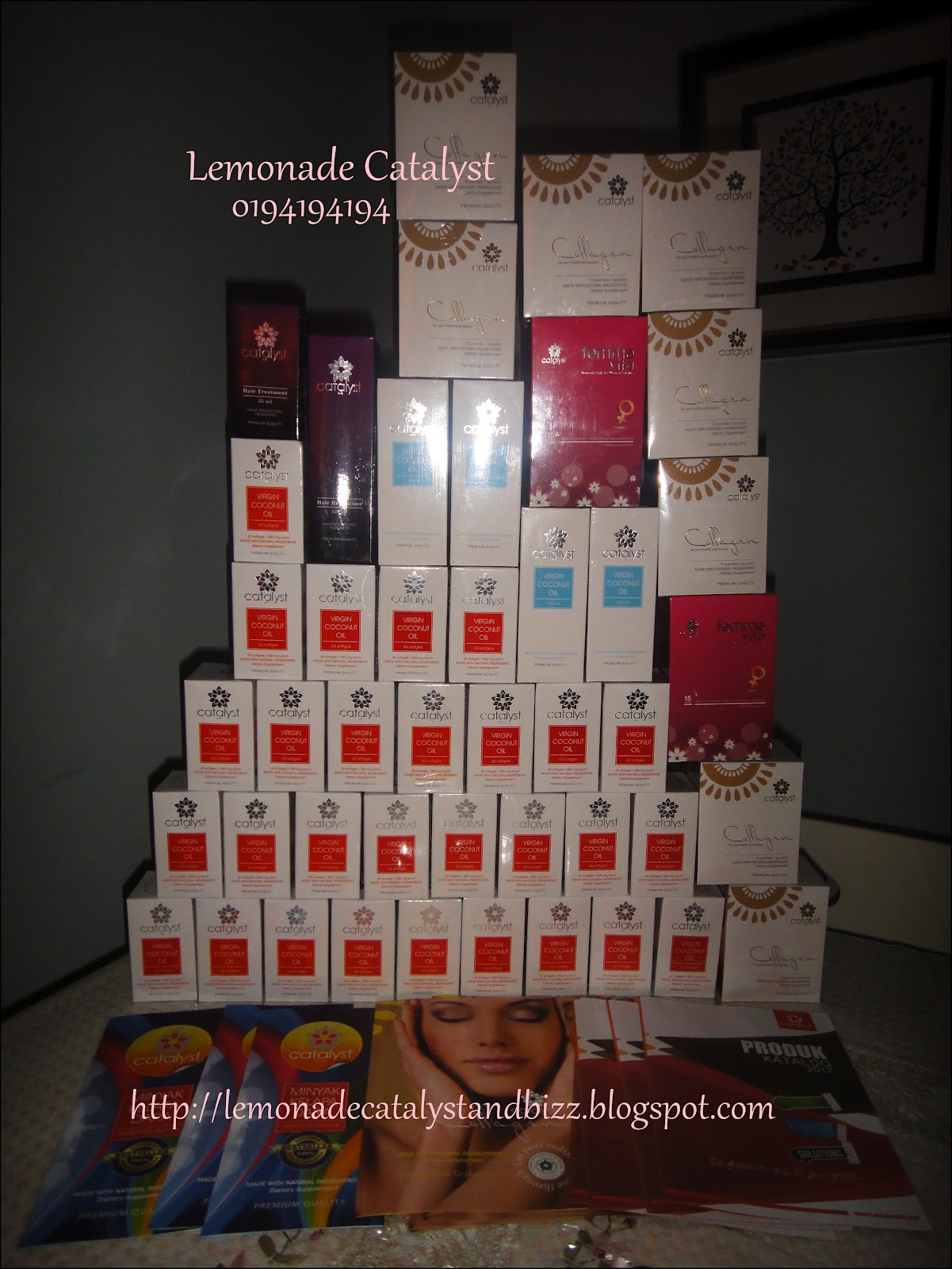 Lemonade Catalyst: March 2012